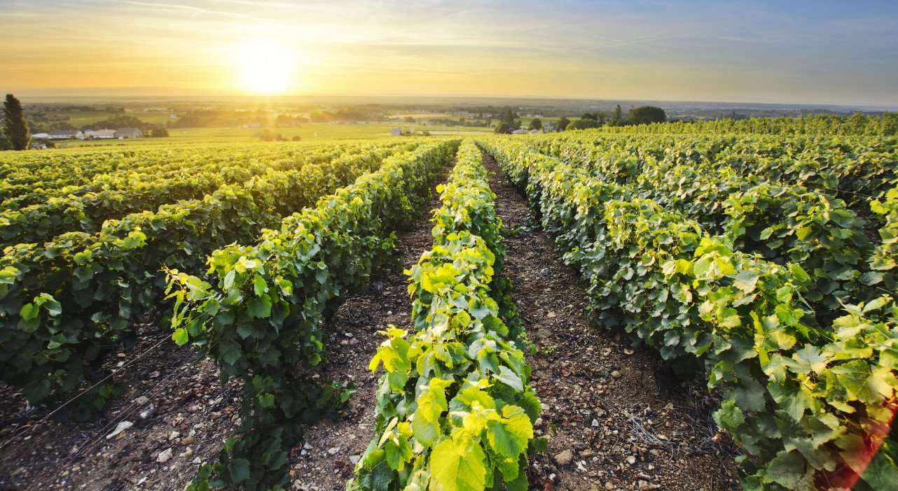 What is Pasquetta | Italian Holiday and Culinary Traditions